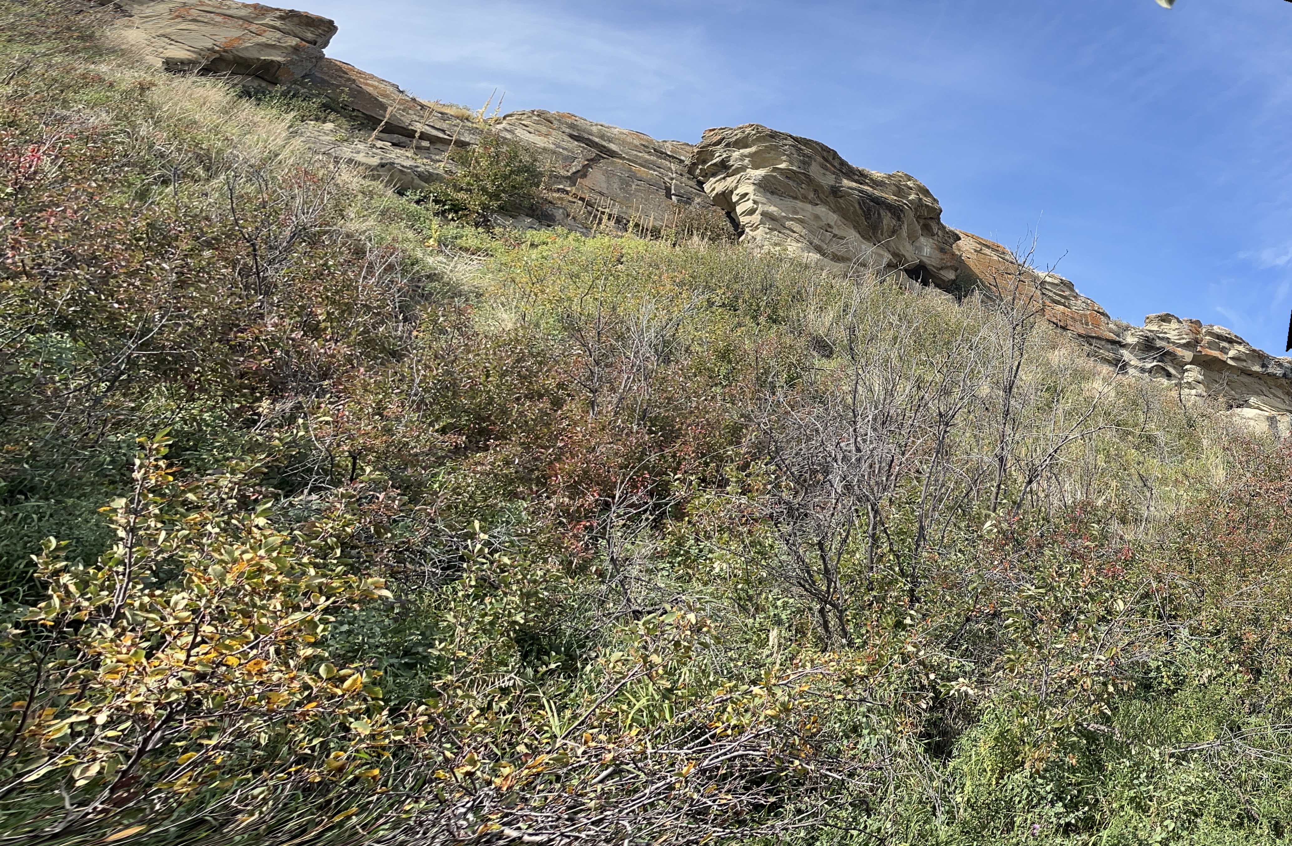 Head-Smashed-In Buffalo Jump – ruthkennedysretirementblog